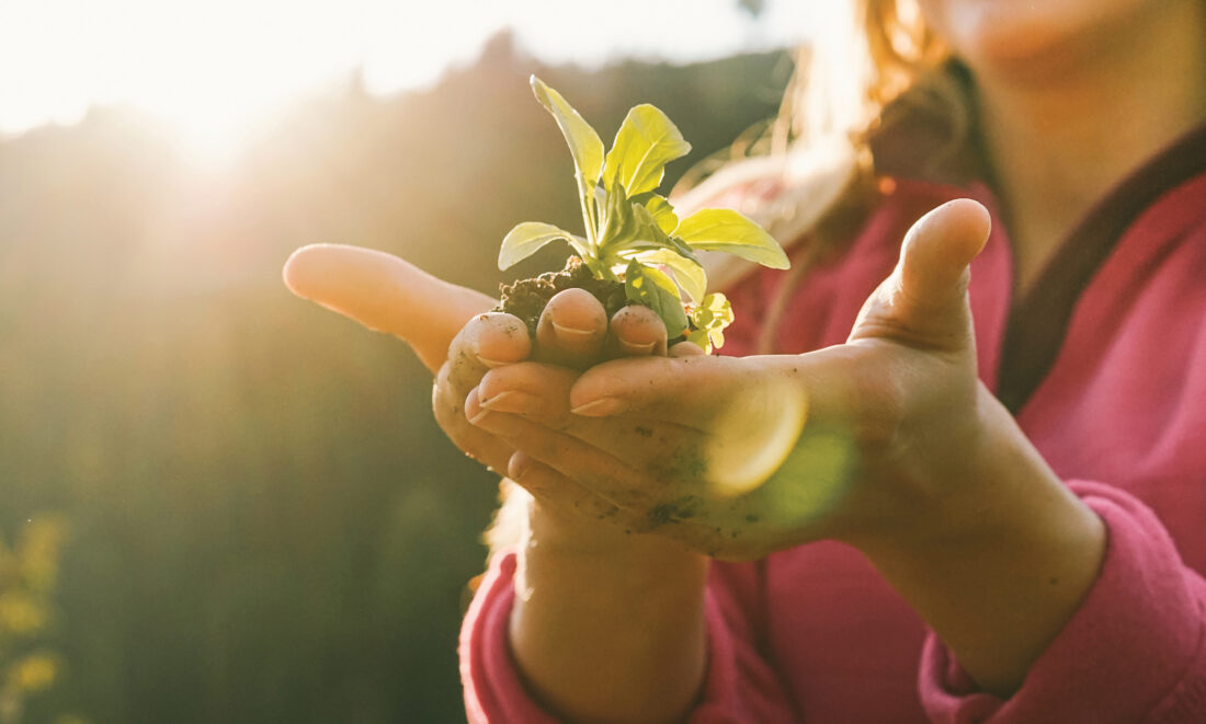 Why Seed Saving Is Important, For the Plants and Ourselves - Grit